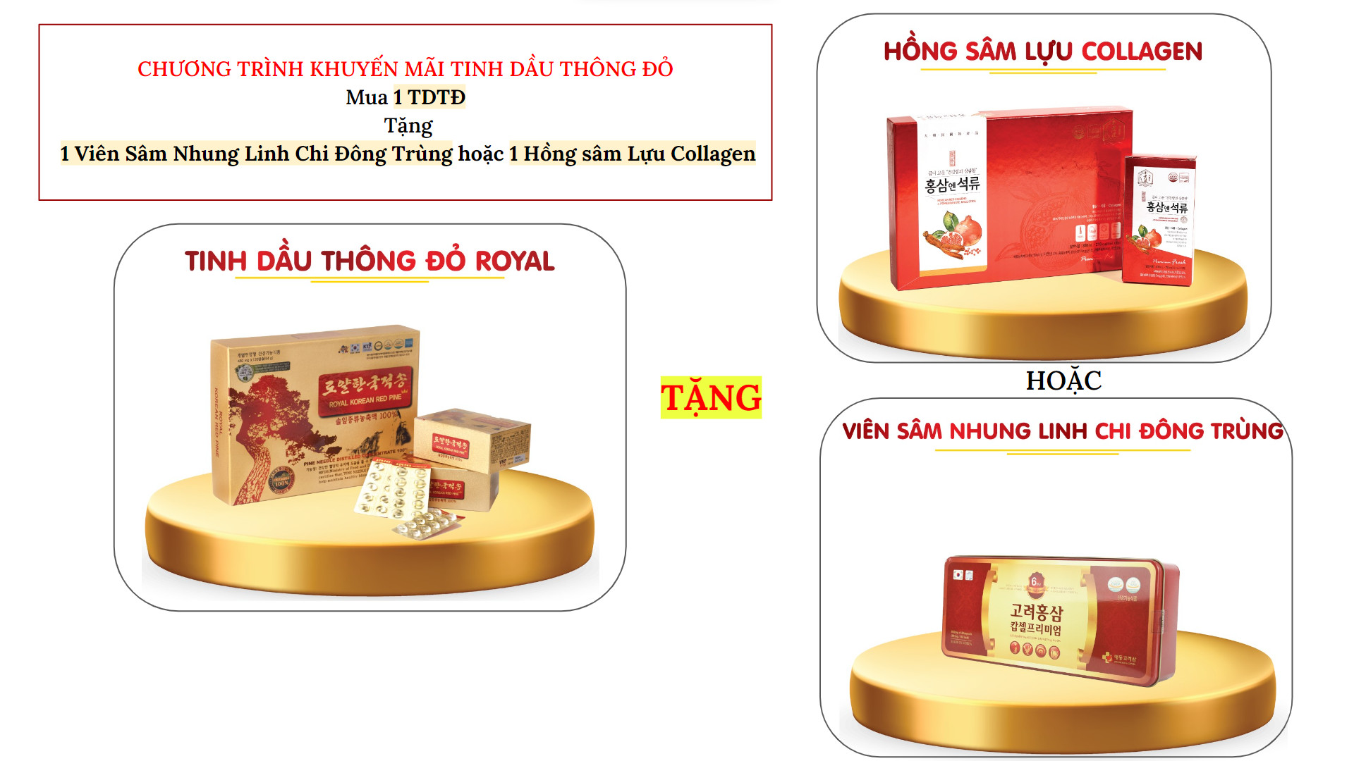 Tặng quà miễn phí 100% trong 2 ngày duy nhất