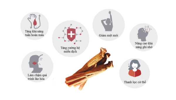 Khám phá 7 công dụng của hồng sâm Hàn Quốc